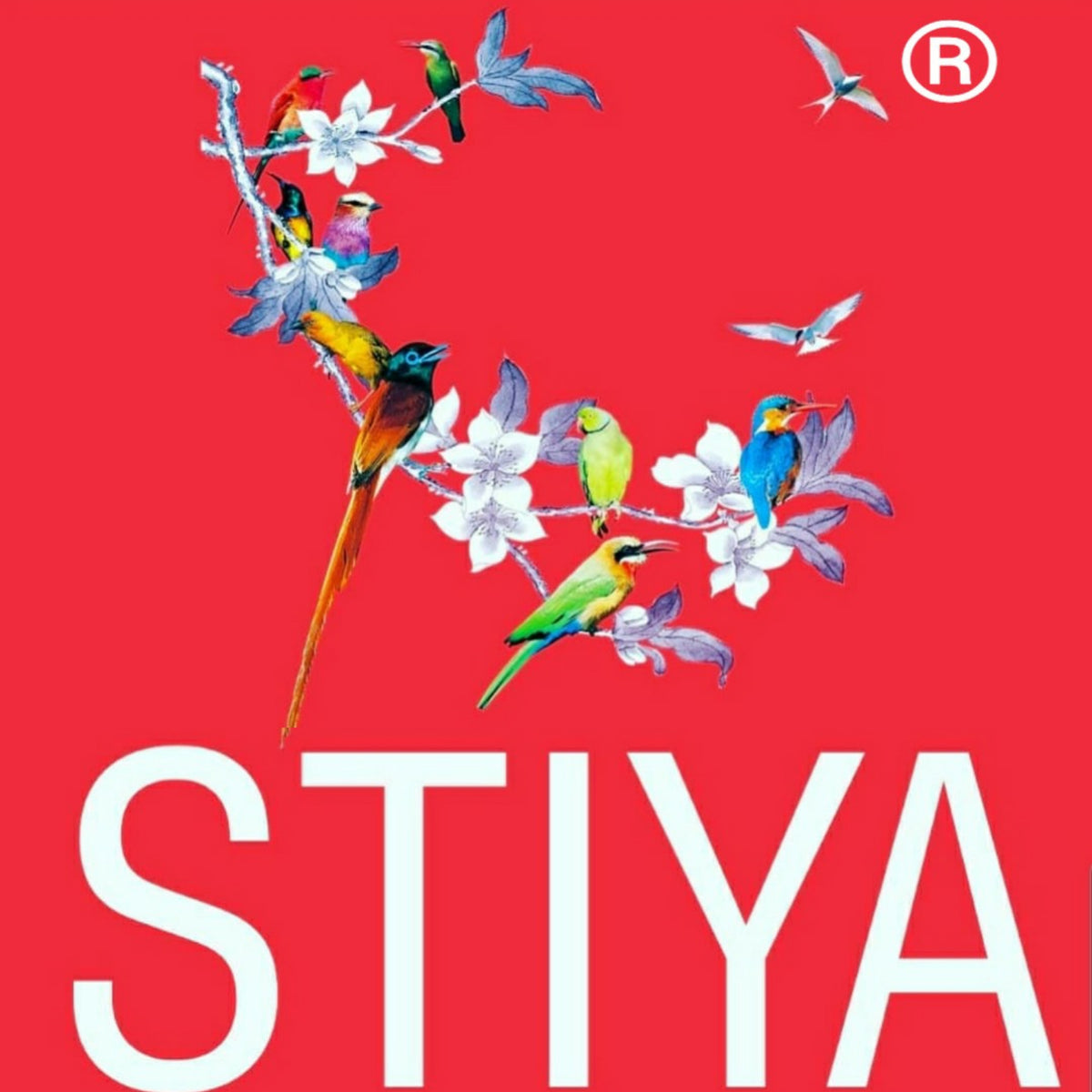 Account – PRAKONLINESTORES